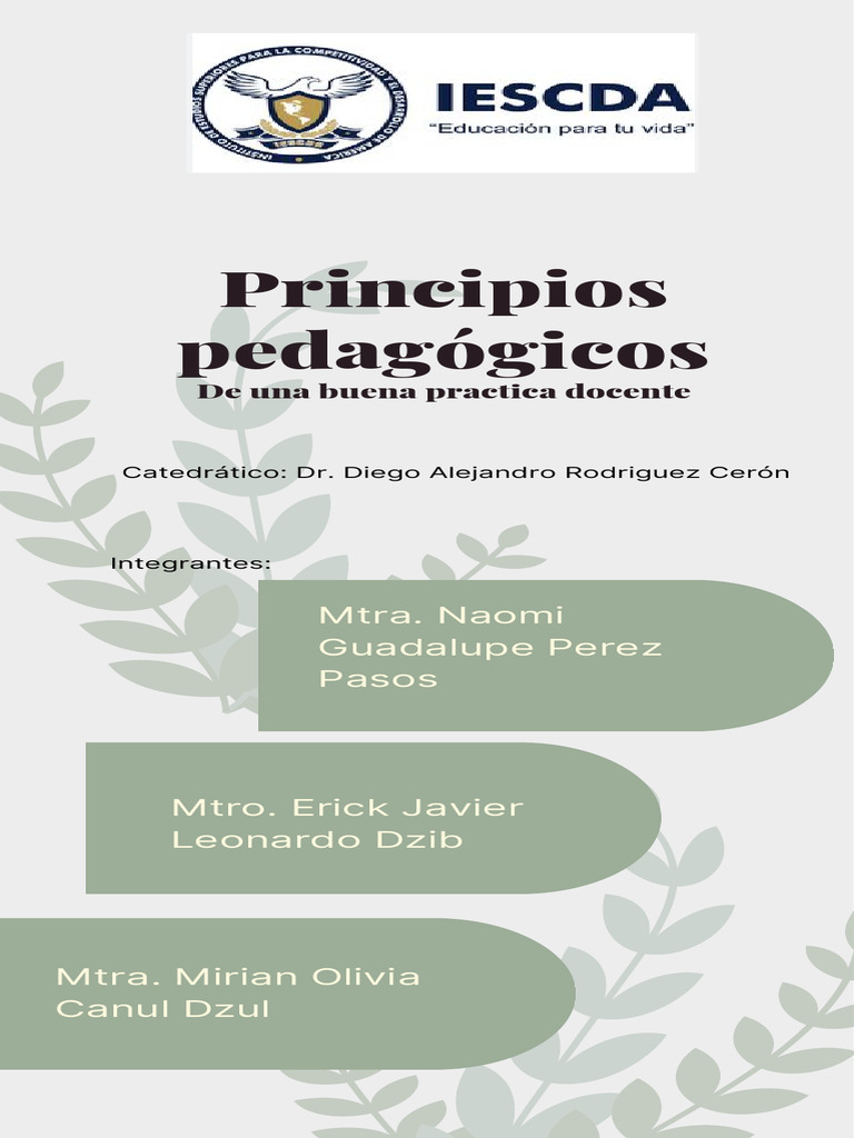 princi | PDF | Maestros | Aprendizaje
