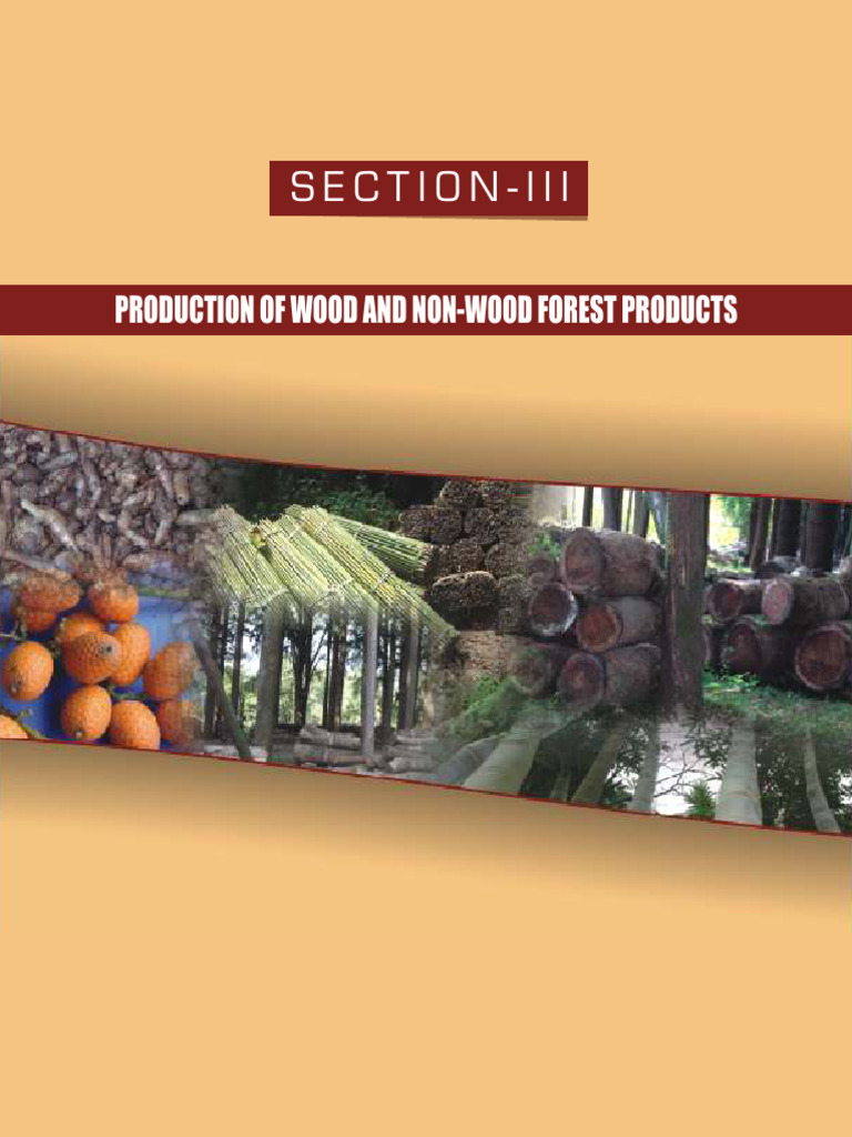 Production of Wood and NTFPs | PDF | Forests | Forestry
