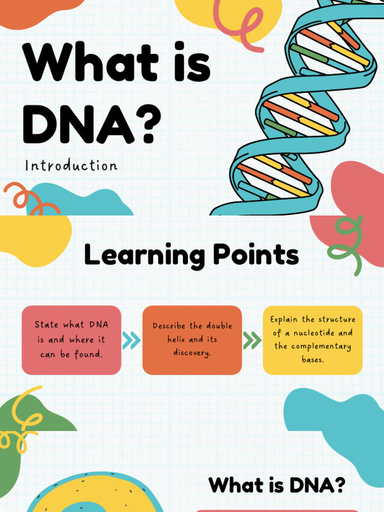 Understanding DNA Structure and Function | PDF