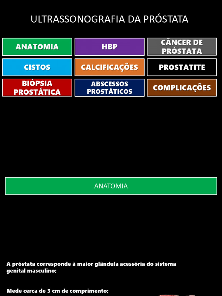 Calcificações na Próstata: Diagnóstico e Implicações | PDF | Próstata ...