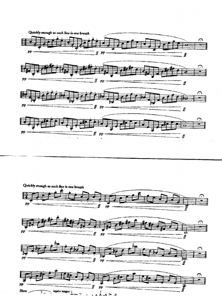 Reinhardt 3 & 4 | PDF