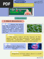 Form 2 Combined Science Notes | PDF | Digestion | Flowers