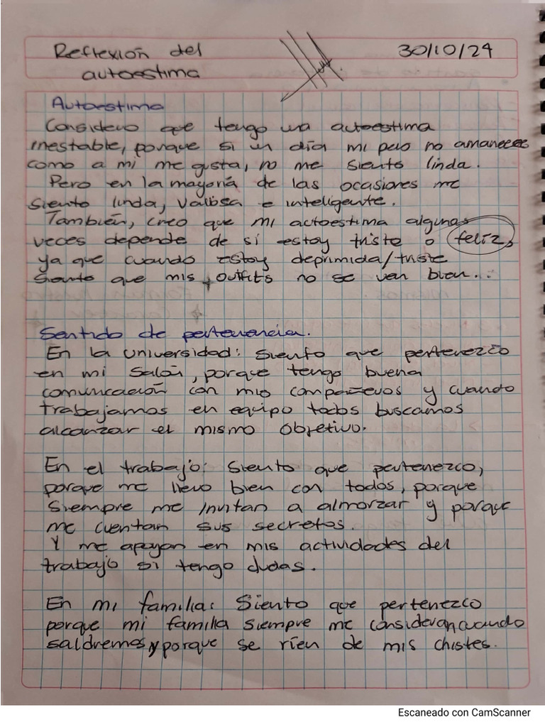 Reflexión Del Autoestima | PDF
