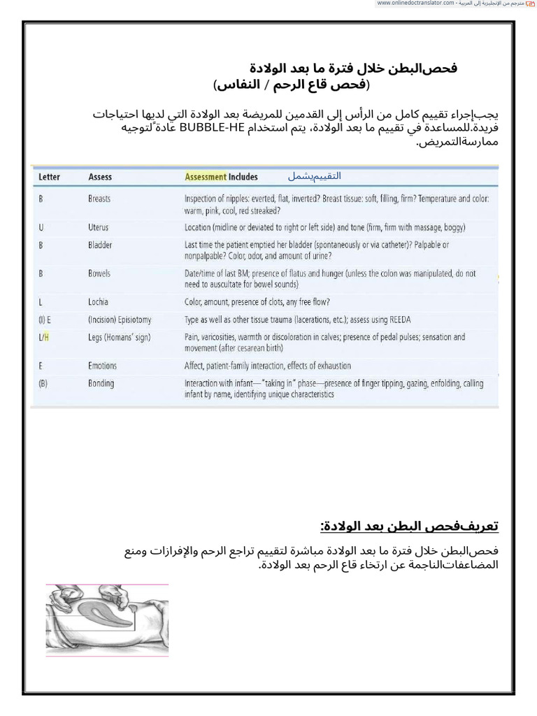 Postpartum Assessment Word FINAL1.en - Ar | PDF