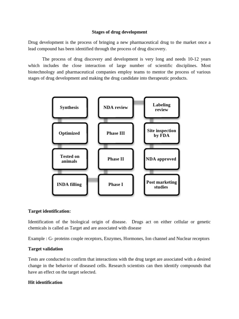 Drug Development Process Stages | PDF | Drug Discovery | Phases Of ...