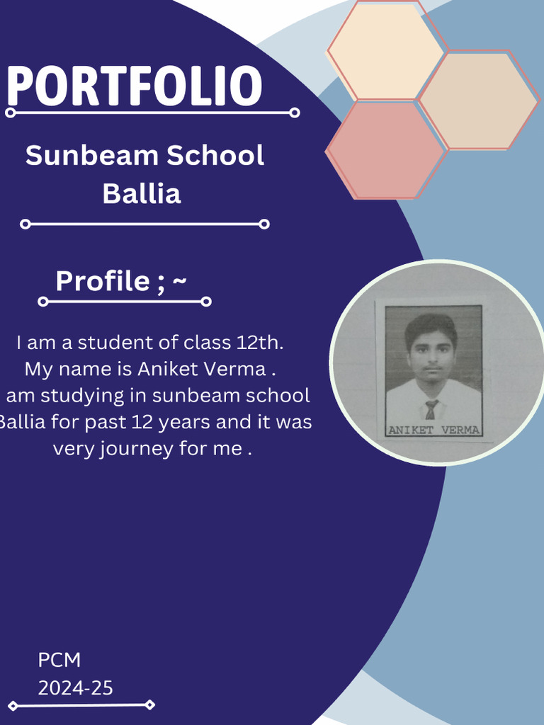 Aniket's Portfolio | PDF
