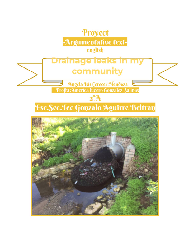 Argumentative Text-Drainage Leaks in My Community | PDF