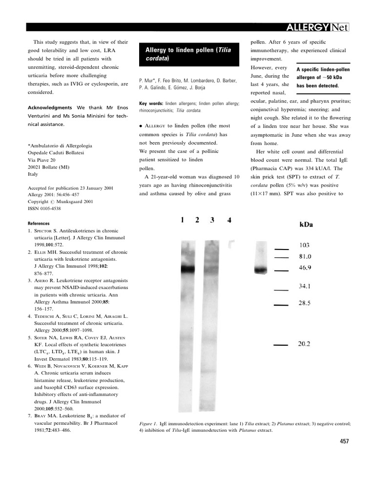 Allergy To Linden Pollen | PDF | Allergy | Allergen