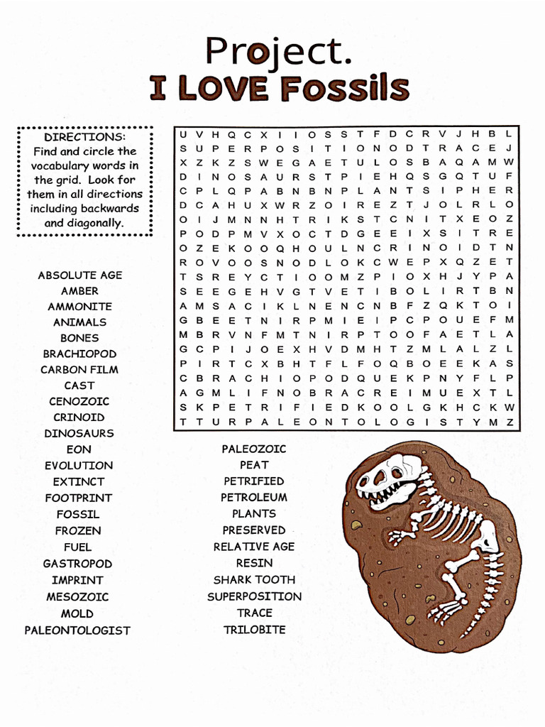 Fossils Wordsearch and Solutions | PDF