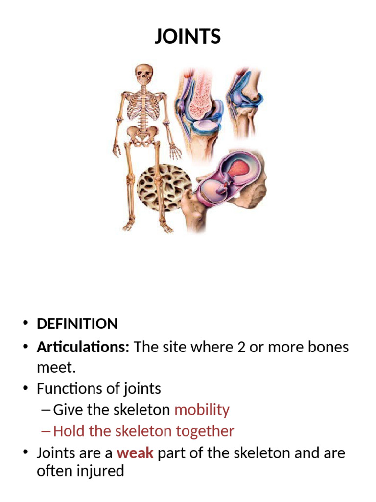 Types and Functions of Joints | PDF | Anatomical Terms Of Motion | Joint
