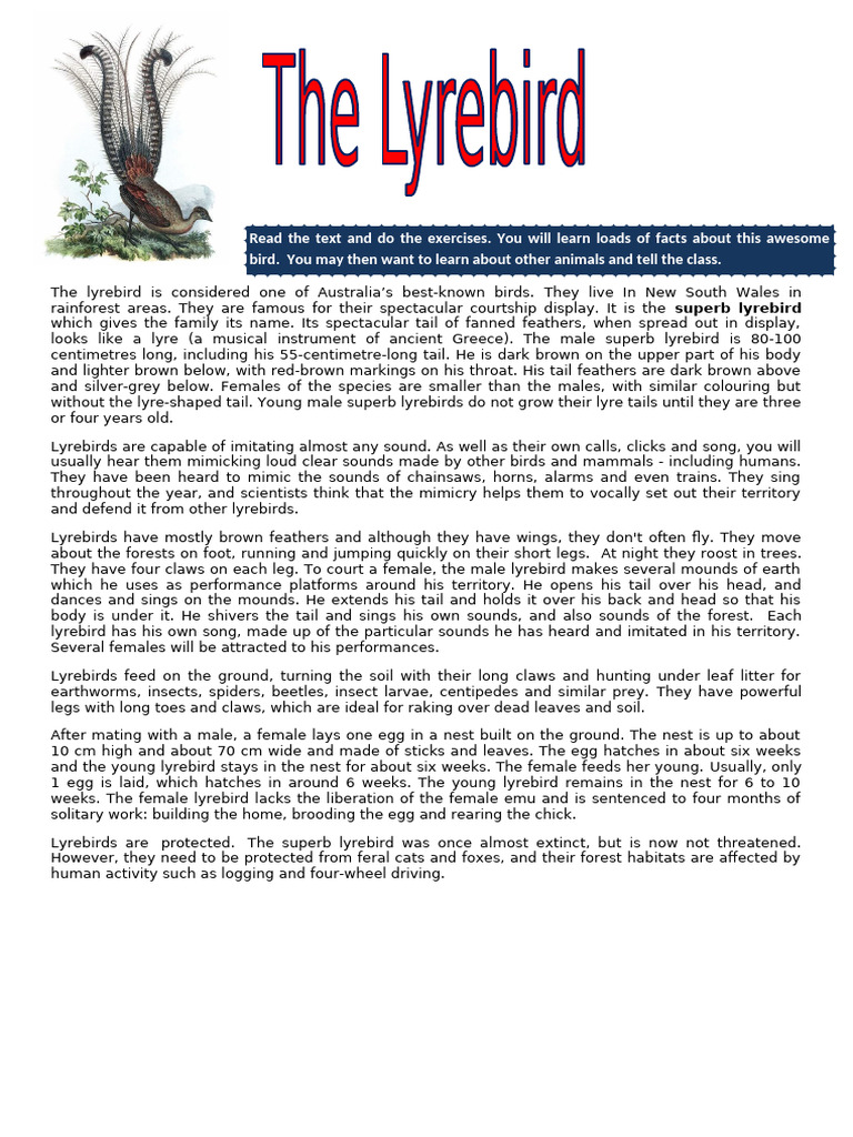 lyrebirds (2) | PDF | Birds | Ornithology