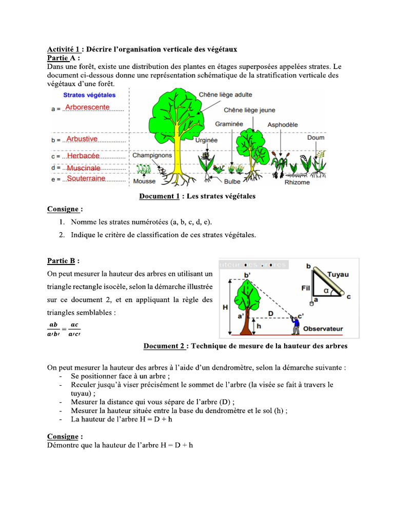 Mbea | PDF