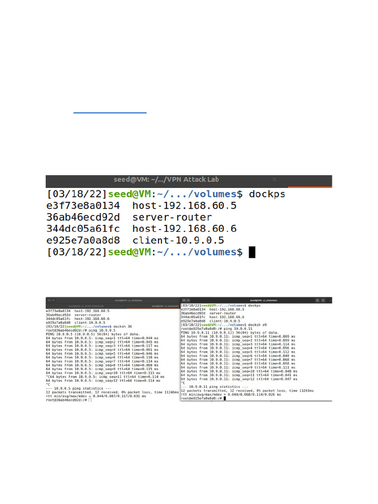 VPN Tunneling Lab | PDF | Computer Network | Communications Protocols