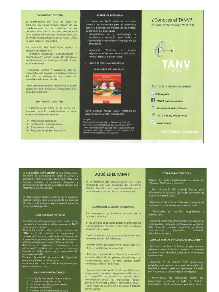 Infografia TANV | PDF