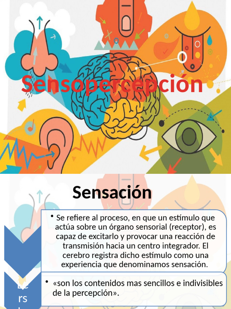Sensopercepción y Percepción | PDF | Percepción | Sentidos