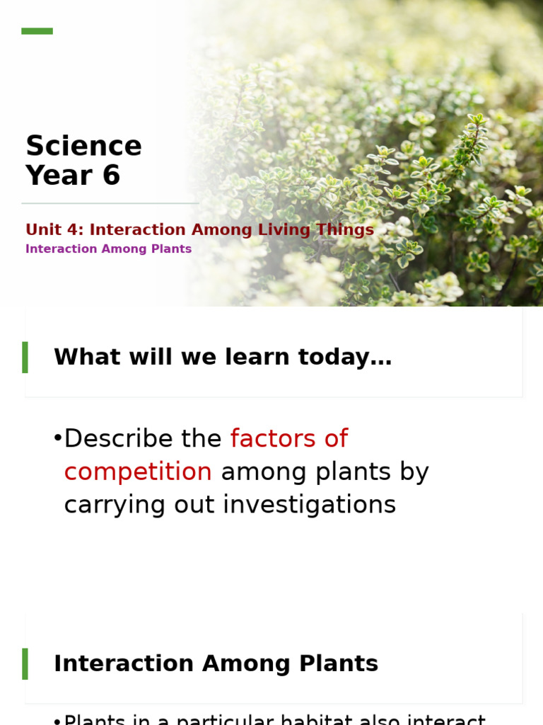 Plant Interactions: Competition & Symbiosis | PDF