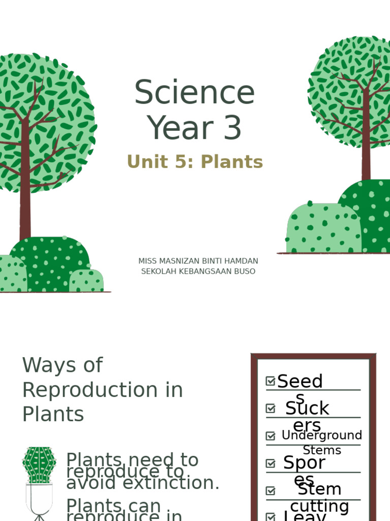 Science Year 3 Unit 5 Plants | PDF