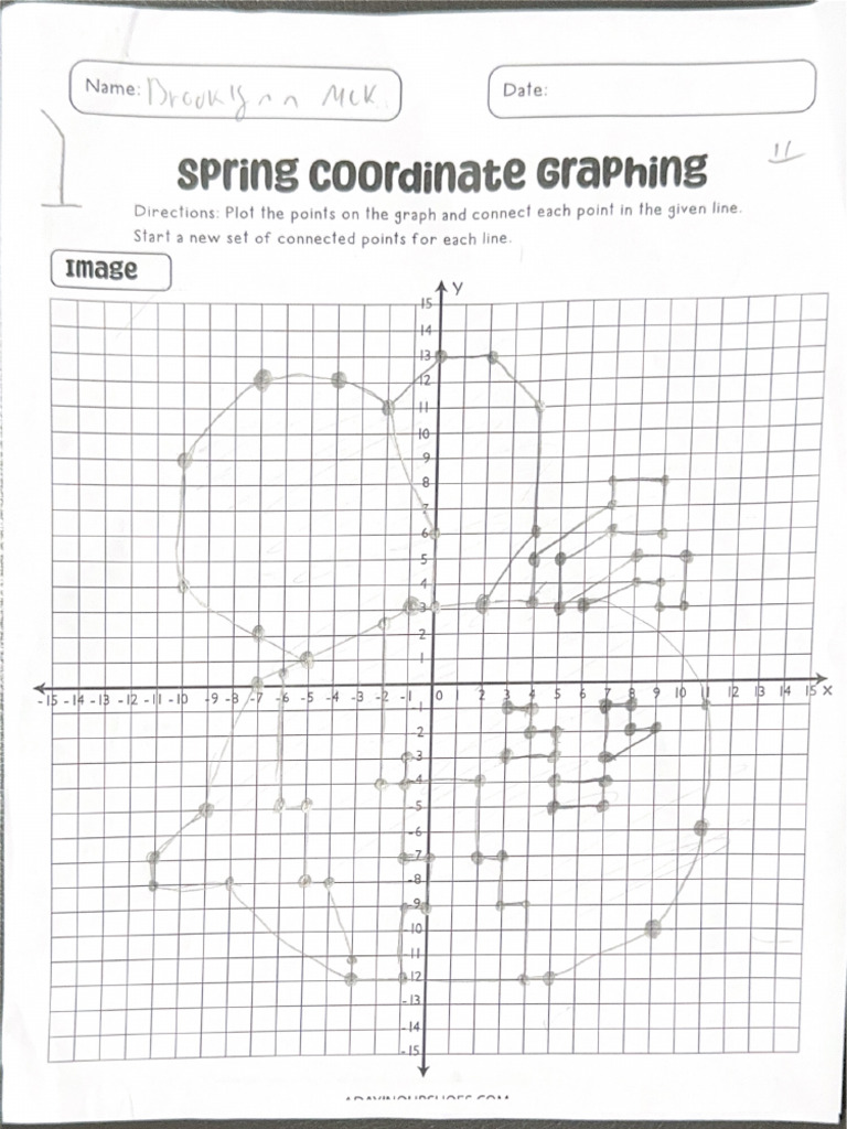 Spring Coordinate Graphing Assignment | PDF
