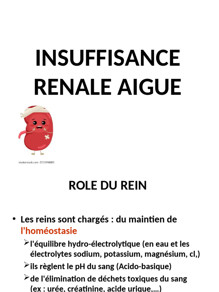 Insuffisance Renale Aigue | PDF | Rein | Spécialités médicales