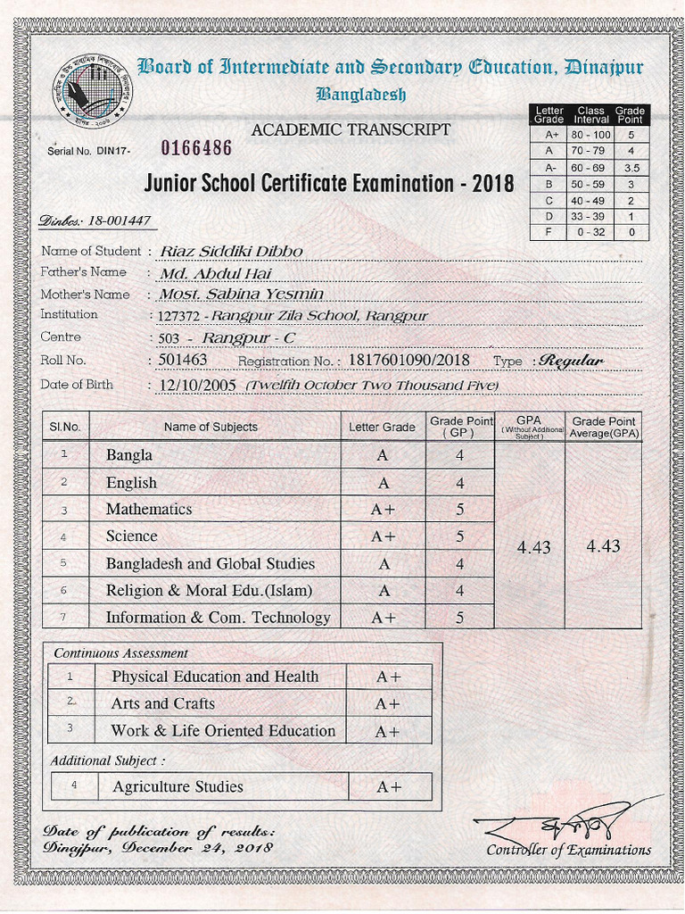 Dibbo JSC Marks Sheet | PDF