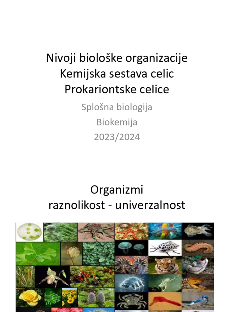 Heliobacterium modesticaldum Overview | PDF | Cell (Biology) | Cell ...