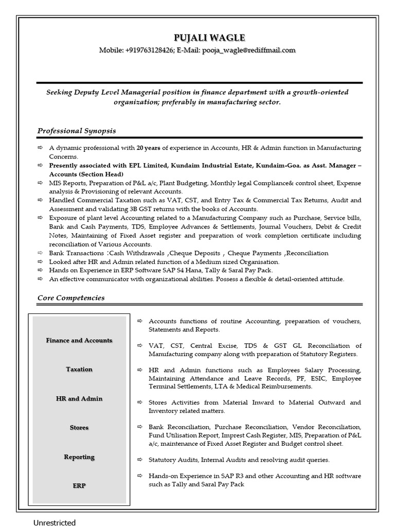 Finance Manager Resume - 20 Years Experience | PDF | Taxes | Payments