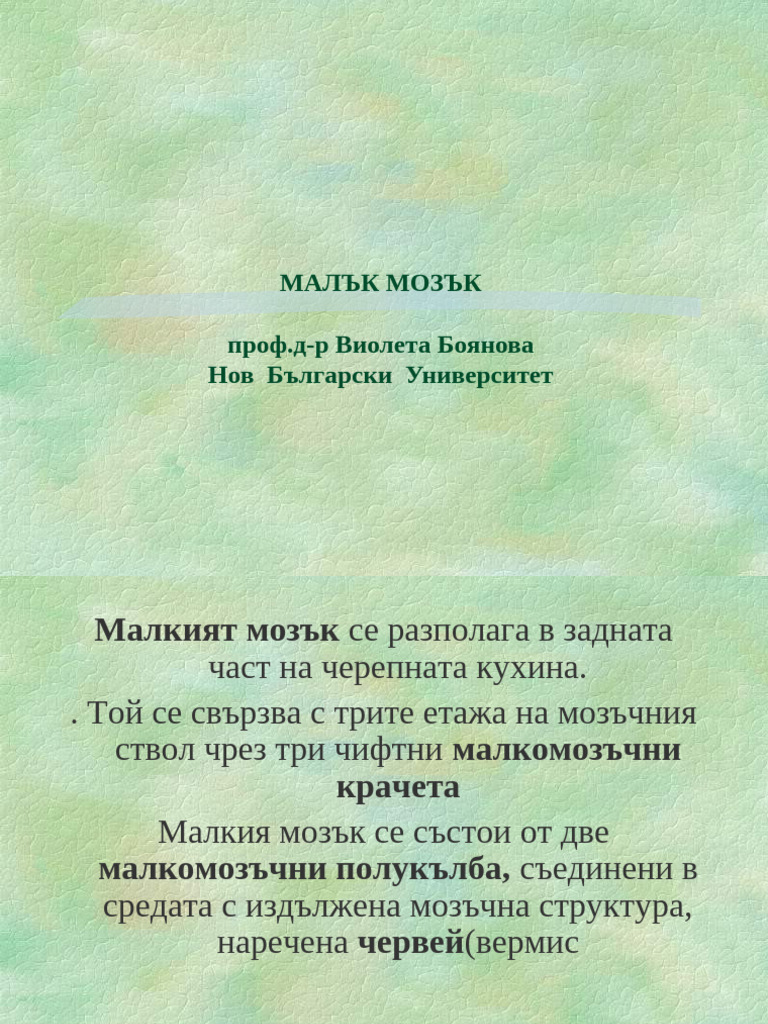 Malak Mozak I Megdinen Mozak | PDF