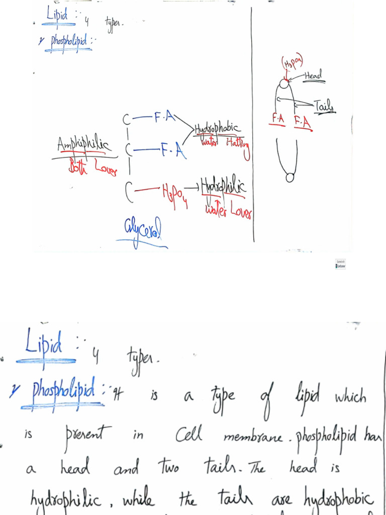 Biology Lecture | PDF
