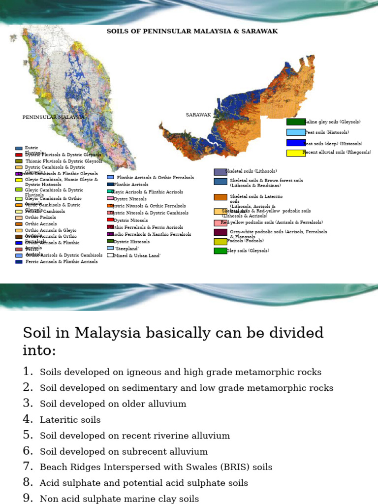 Soils of Malaysia: Types & Characteristics | PDF | Soil | Peat