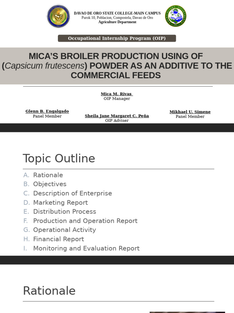 Rivas Final Ppt[1] | PDF | Expense | Revenue