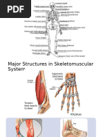 SplintER Series Common ED Splint Techniques 104 | PDF | Thumb | Arm