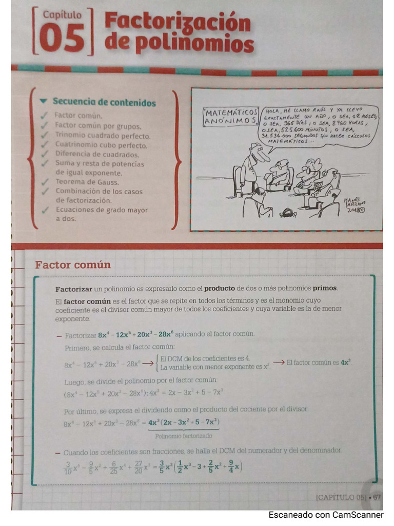 Factor Poli No Mio | PDF