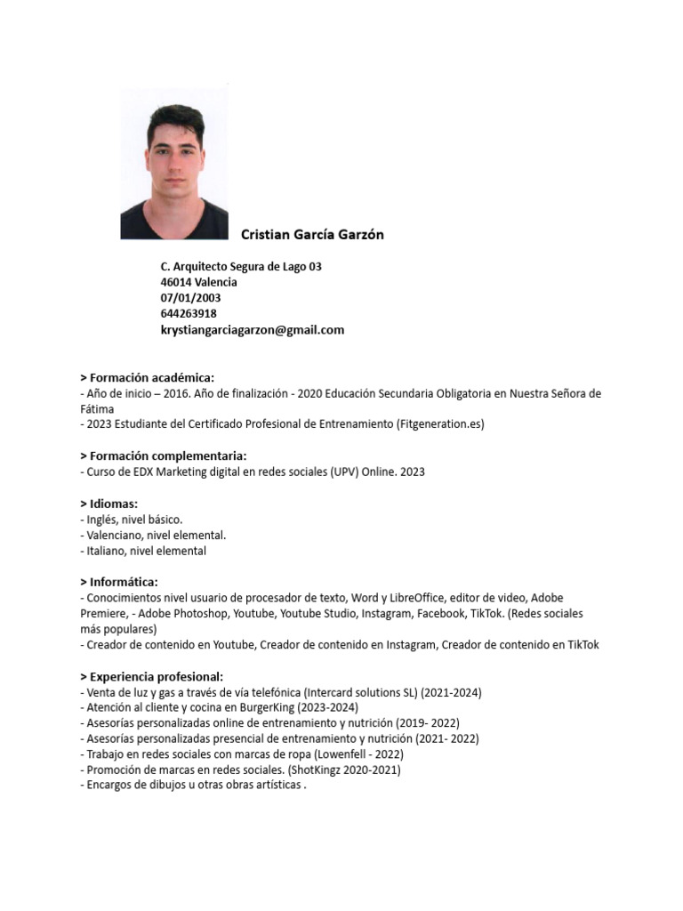 CV Cristian Actualizado 1 | PDF