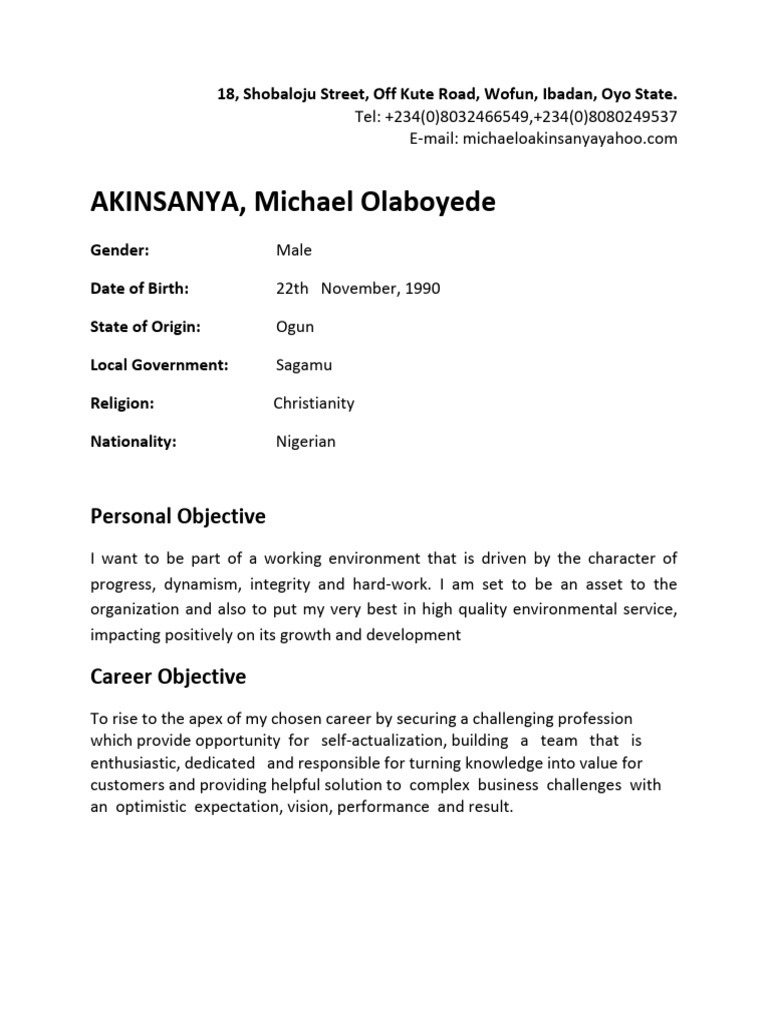Akinsanya Michael CV | PDF | Learning