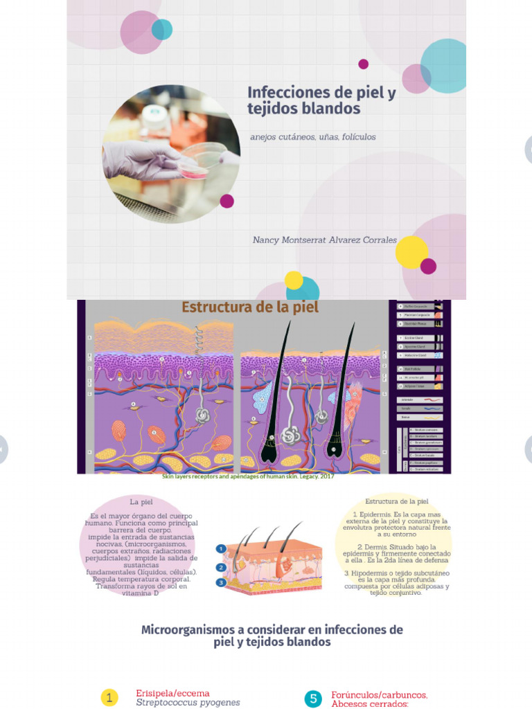 Infecciones de piel y tejidos blandos | PDF