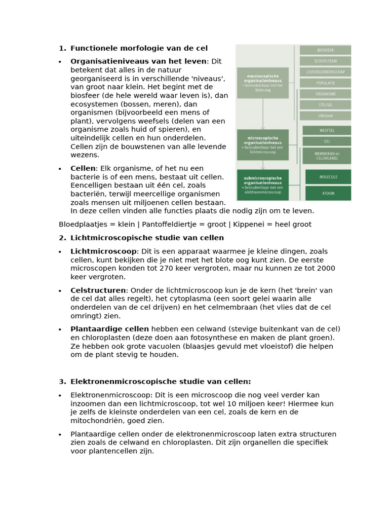 Biologie Toets Samenvatting | PDF