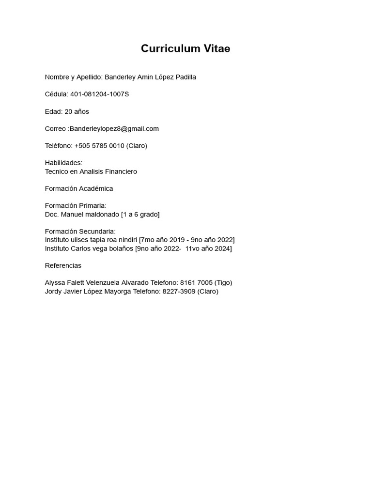 Curriculum Vitae 2 | PDF