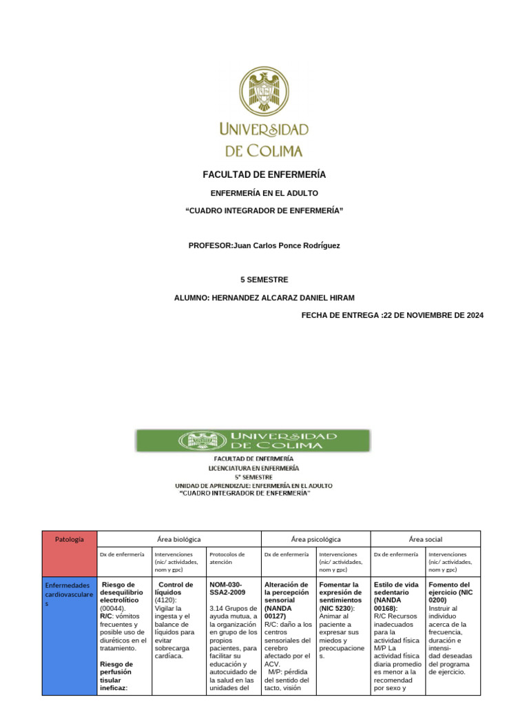 CUADRO INTEGRADOR de ENFERMERIApara La Evaluacion de La Segunda Parcial ...