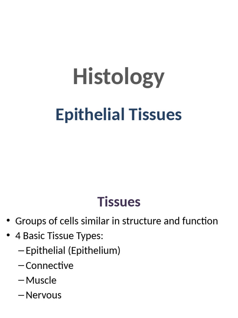 Histology - Epithelial Tissue | PDF | Epithelium | Organ (Anatomy)
