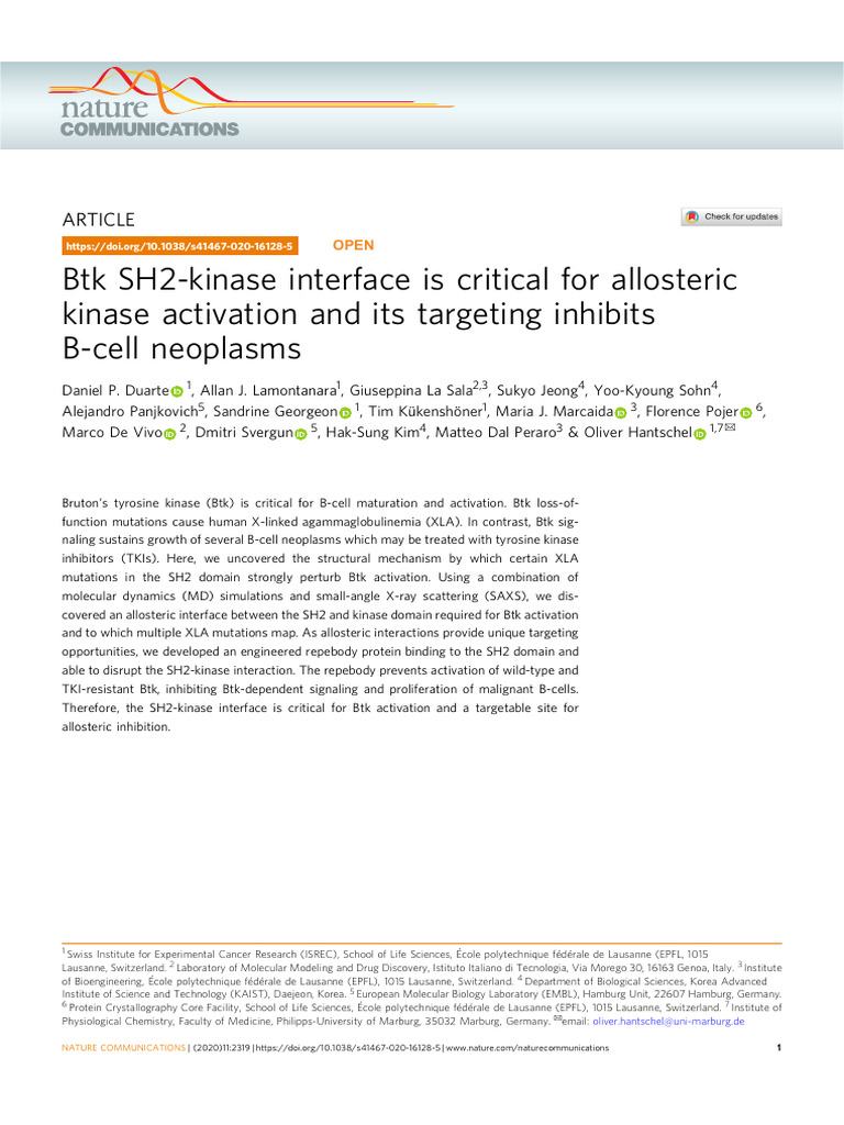BTK SH2-kinase Interface Is Critical For Allosteric | PDF | Kinase | Biotechnology