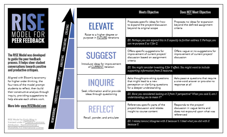 RISE_rubric-peer | PDF | Cognitive Science | Learning
