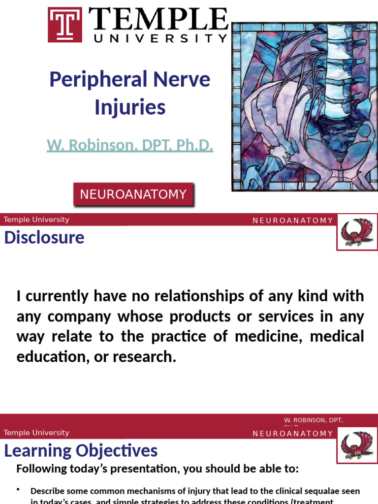 21 Peripheral Nerve Injuries Robinson 2021 | PDF | Peripheral ...