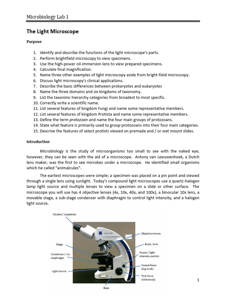 L1_The_Microscope(1) | PDF | Microscope | Angular Resolution