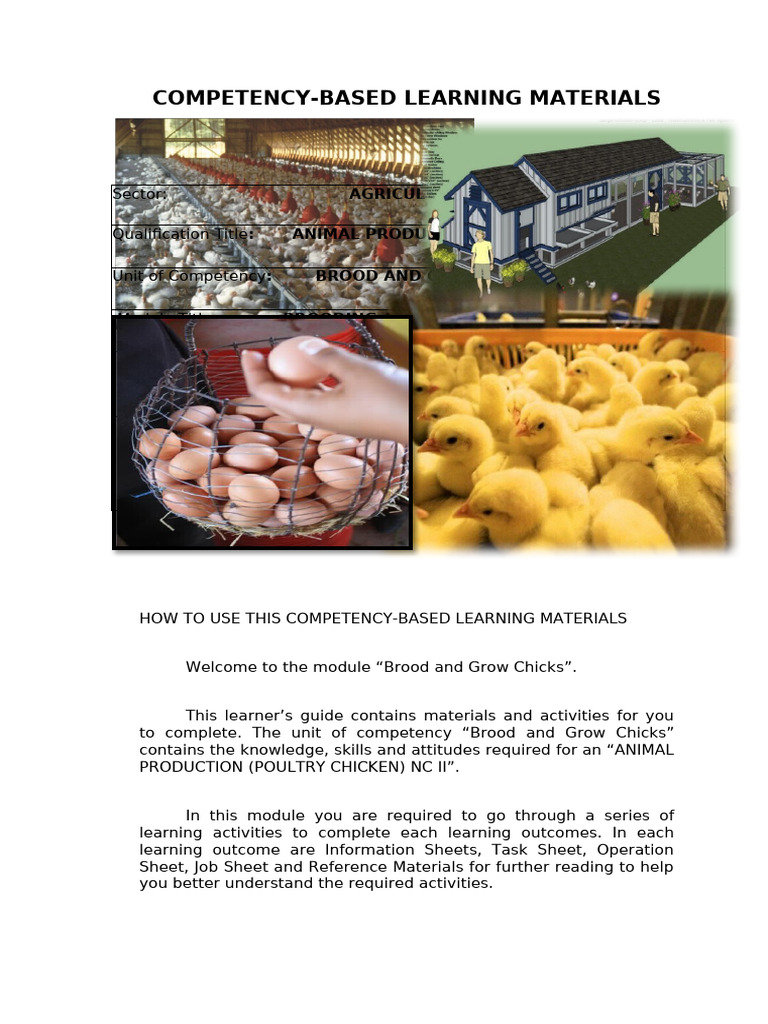 Brooding and Growing Chicks Module | PDF | Poultry Farming | Personal ...