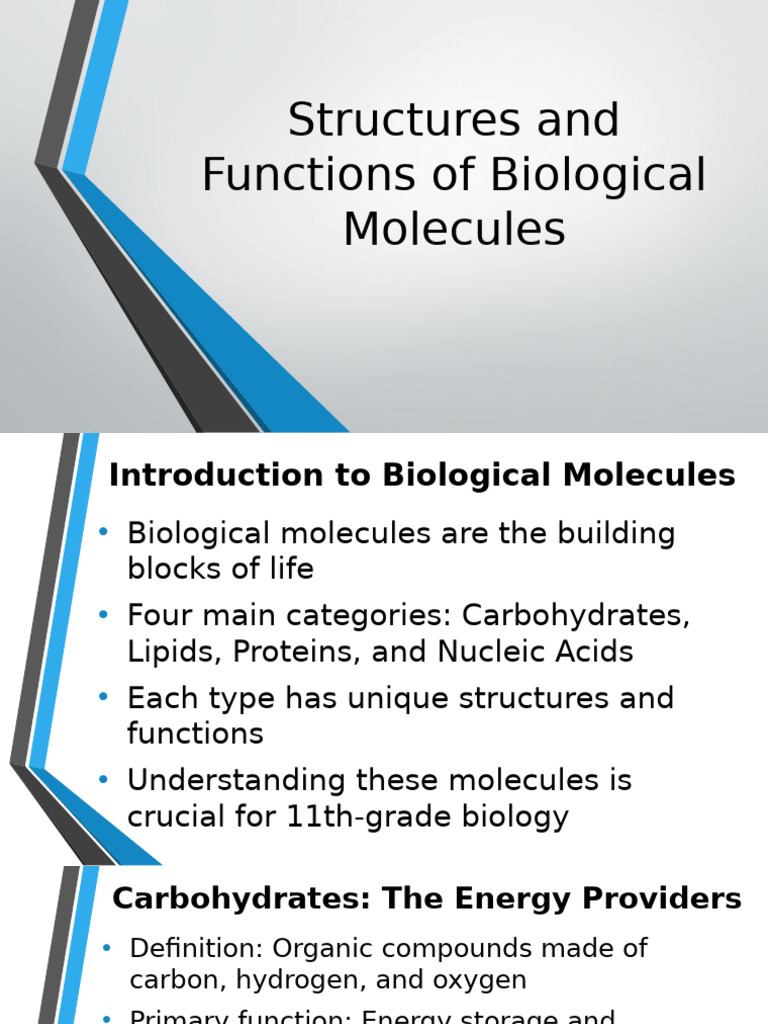 Structures and Functions of Biological Molecules 2 | PDF | Proteins ...