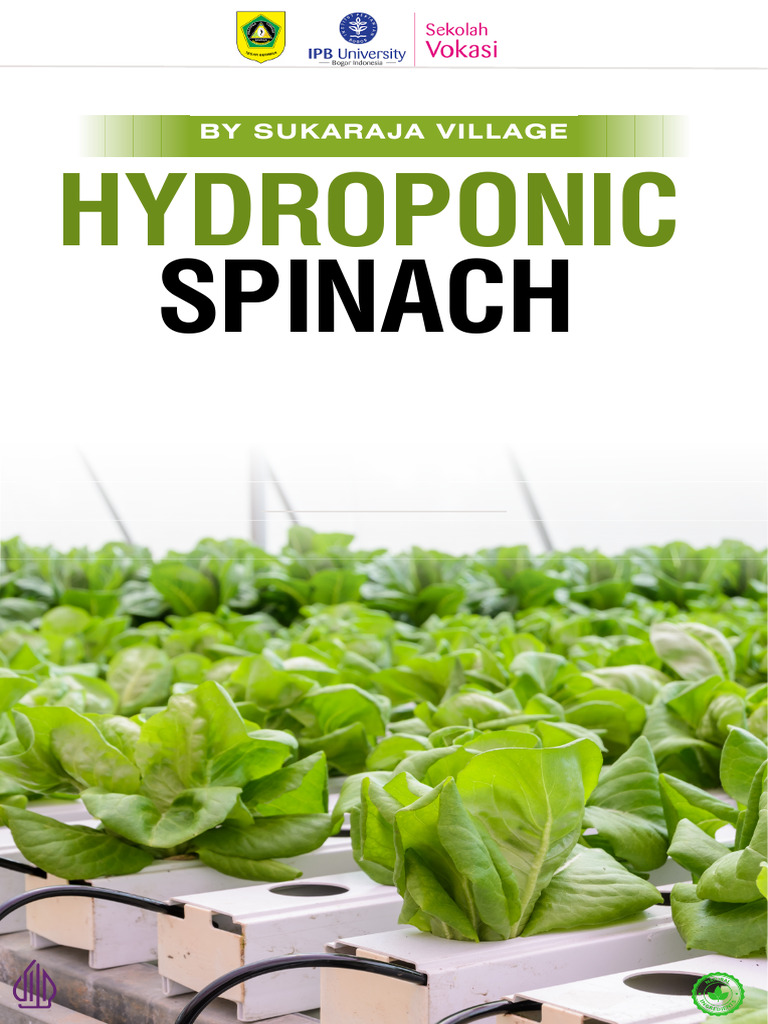 Jonathan Patterson | PDF