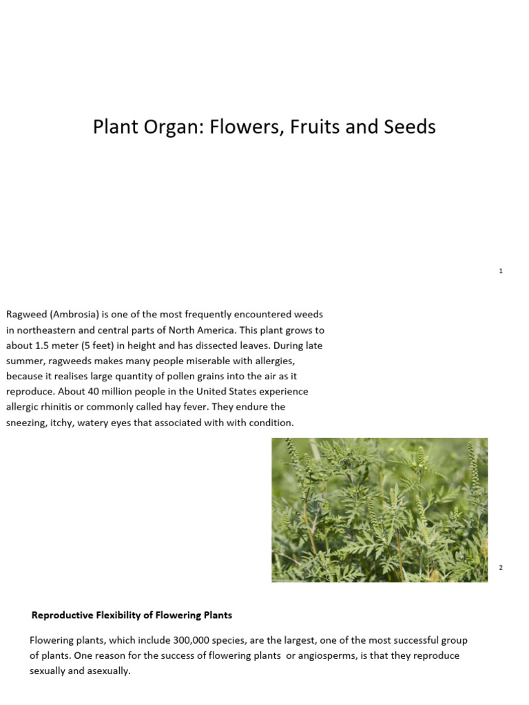 Flowering Plant Reproduction Guide | PDF | Flowers | Fruit