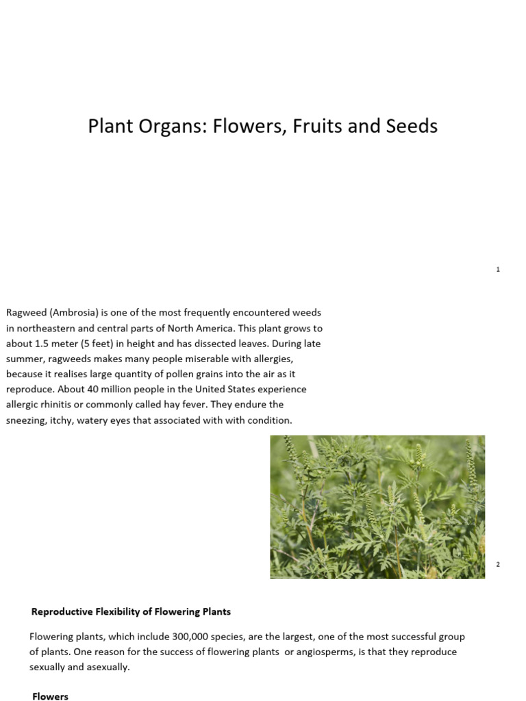 Plant Organs_Flowers, Fruits,And Seeds | PDF | Flowers | Fruit