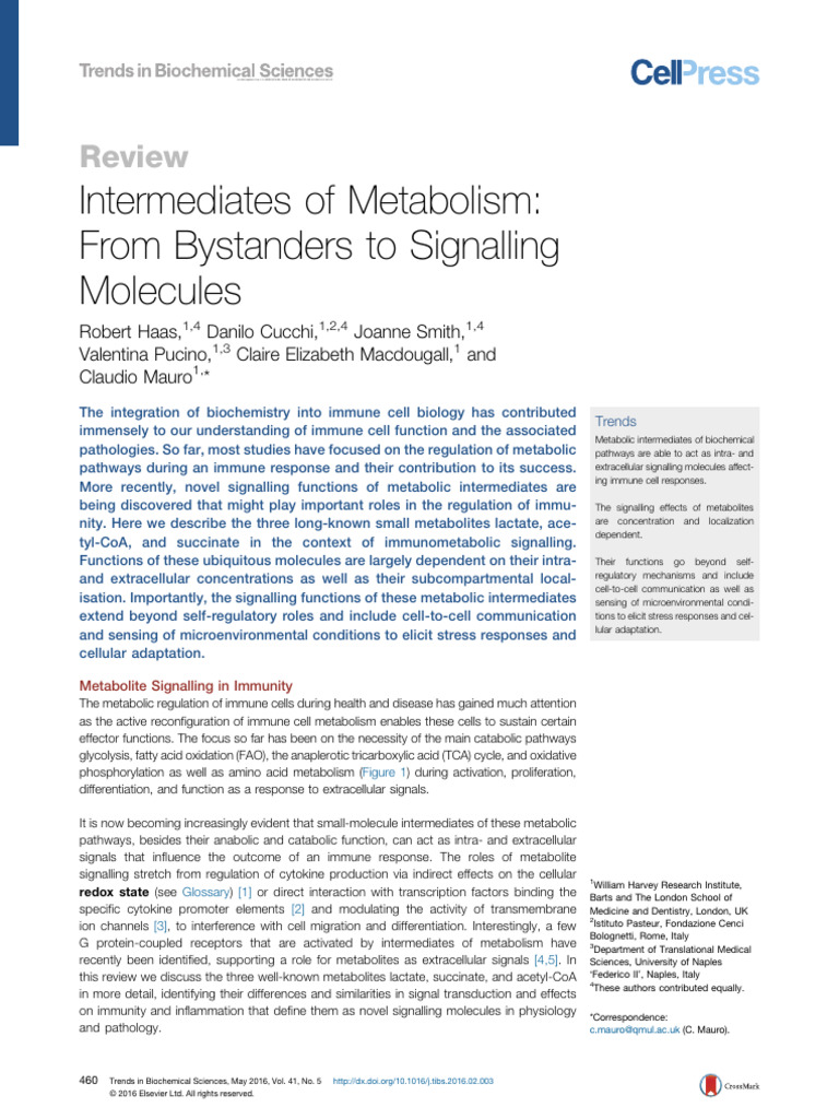 Metabolic Intermediates in Immunity | PDF | Electron Transport Chain ...