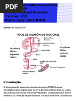 Síndrome Do Primeiro Neurônio Motor | PDF | Sistema nervoso | Doenças e ...